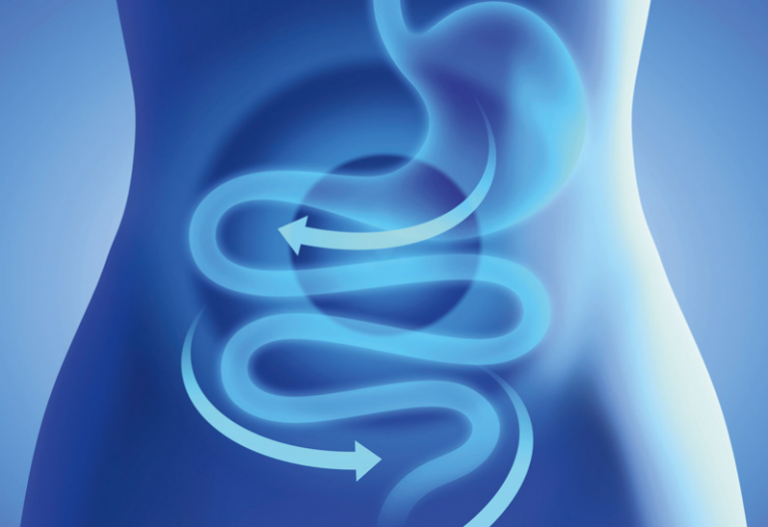 7 Tips for the Better Digestive System | ReliableRxPharmacy Blog ...